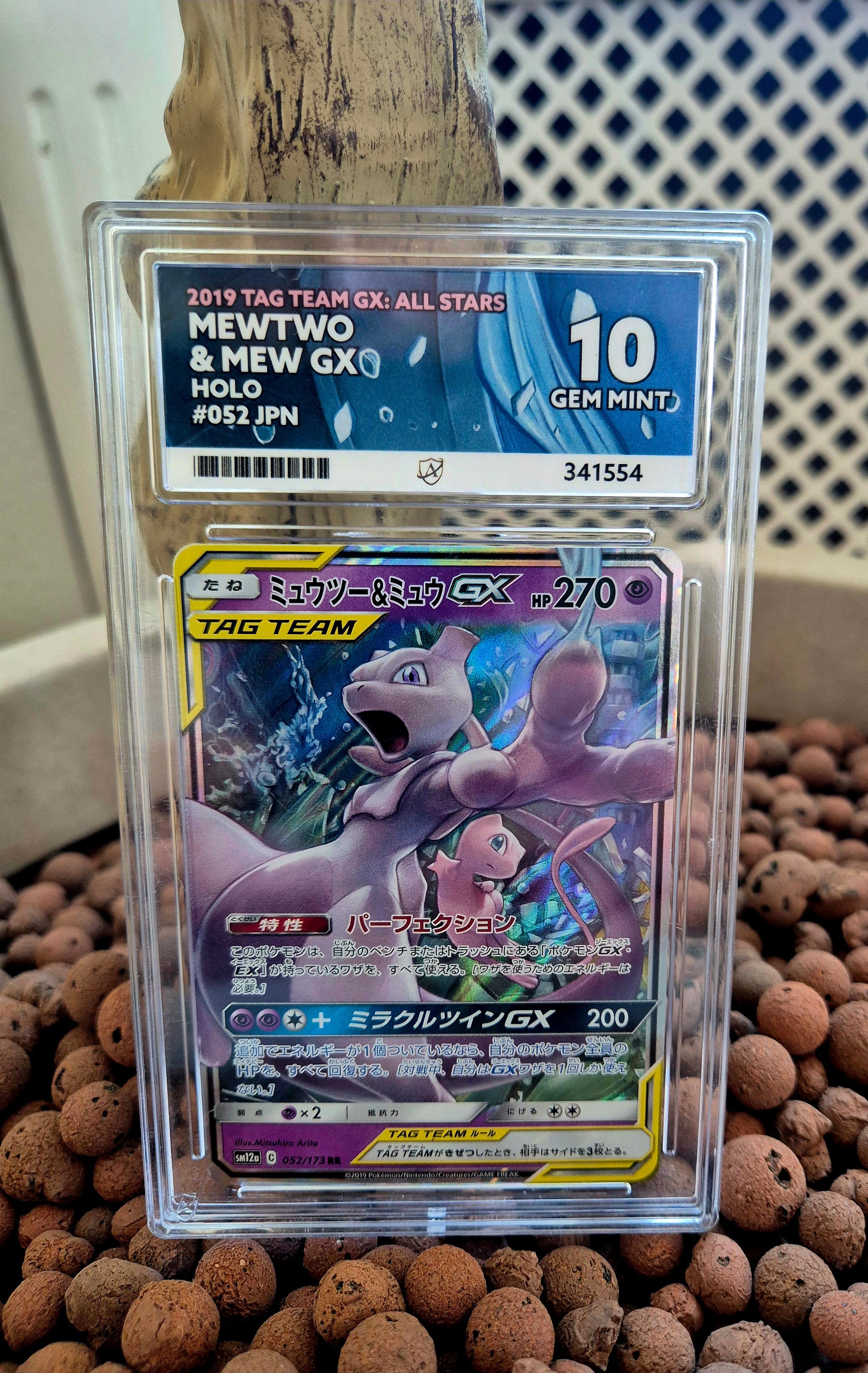 ACE Graded Slabs – TCGFavours
